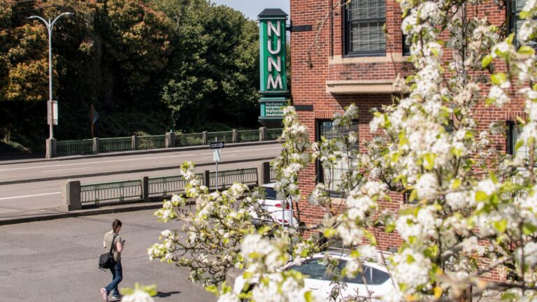 National University of Natural Medicine - NUNM - Portland, Oregon