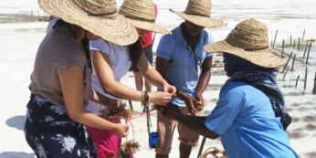 Master of Science in Global Health - National University of Natural ...