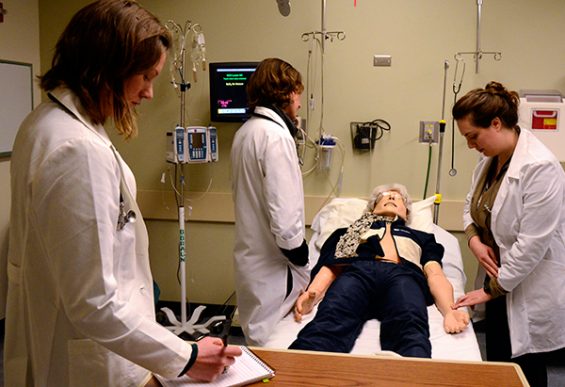 High-Fidelity Learning in Sim Lab - National University of Natural ...